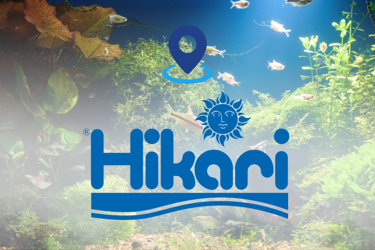 Where to Buy Hikari®: Helping Hobbyists Find Our Products